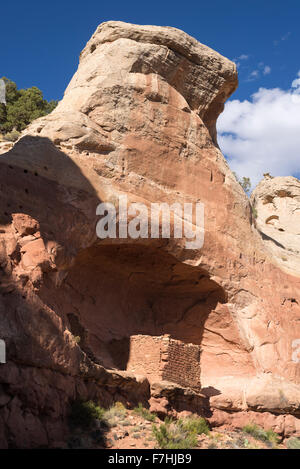 Ancestral puebloan cliff dwelling in Canyon of the Ancients National ...