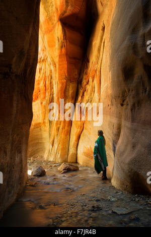 Hiker in the Dixie National Forest in the Grand Staircase Escalante ...