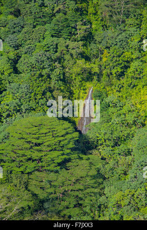 Aerial, ridges, Manoa Valley,Honolulu, Oahu, Hawaii Stock Photo - Alamy