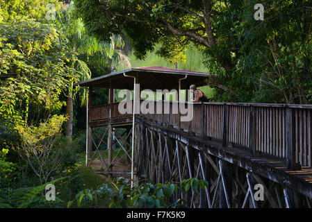 La Piedra Escrita in Jayuya, Puerto Rico is a huge, river-bound boulder ...