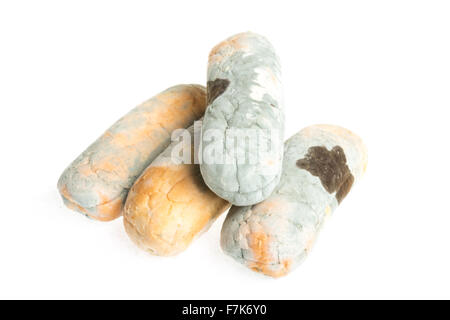 Old musty bread covered with green mold Stock Photo - Alamy
