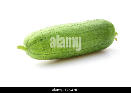 fresh smooth loofah on a white background Stock Photo - Alamy