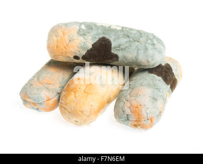 Old musty bread covered with green mold Stock Photo - Alamy