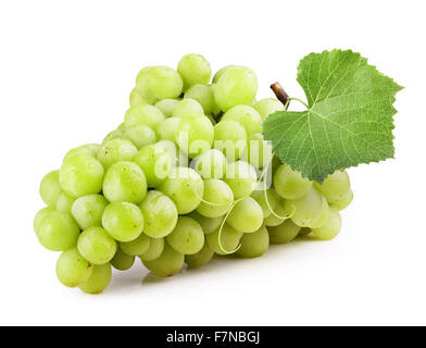 Fresh green grapes on white reflecting background Stock Photo - Alamy