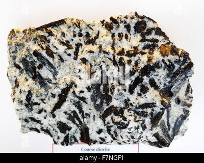 Diorite, intrusive rock Stock Photo - Alamy