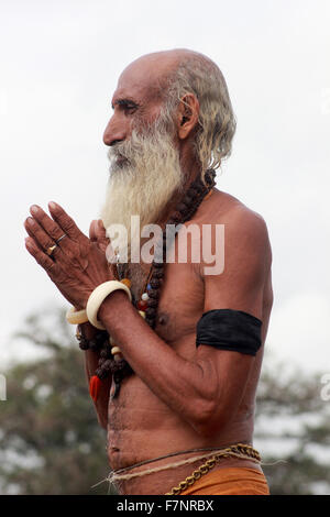 Sadhu with long white beard meditating Kumbh Mela, Nasik, Maharashtra ...