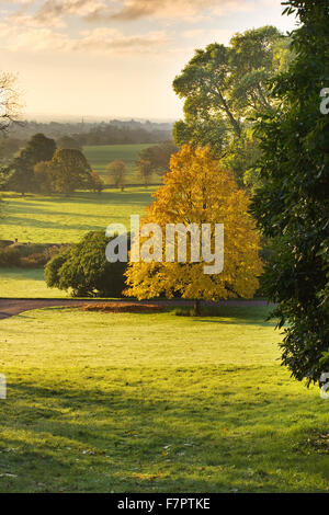 View of trees in the gardens at Killerton, Devon, in September Stock ...