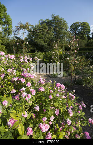 The Rose Garden at Nymans, West Sussex, in July. The Messel Fountain ...