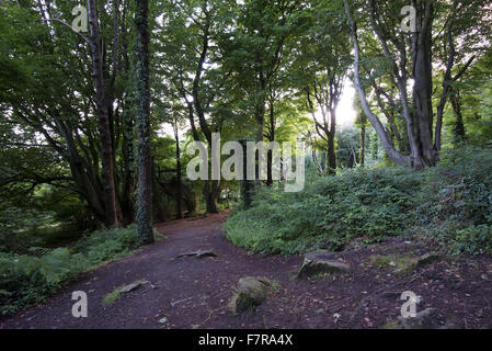 Killynether, County Down. Killynether is mostly woodland Stock Photo ...