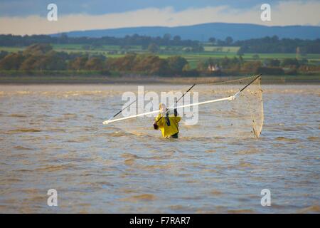 Solway Coast. Haaf Net Fisherman fishing. River Eden Channel. Bownes on ...
