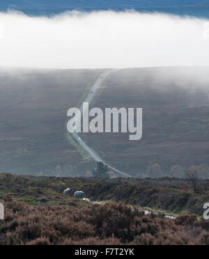 A road over the North Yorkshire Moors England UK Stock Photo - Alamy