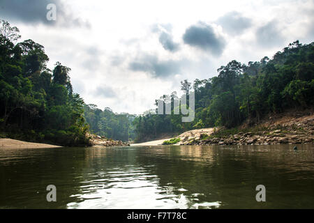 Tembeling River, rainforest, jungle, Kuala Tahan, Taman Negara ...