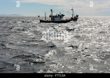 Fishing ship navigating by the Strait of Gibraltar at sunset, Tarifa ...