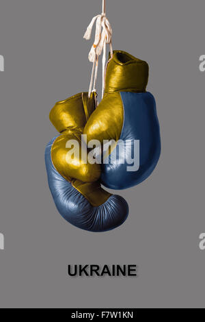 Boxing glove with Ukrainian flag. Boxer holds flag of Ukraine. White ...
