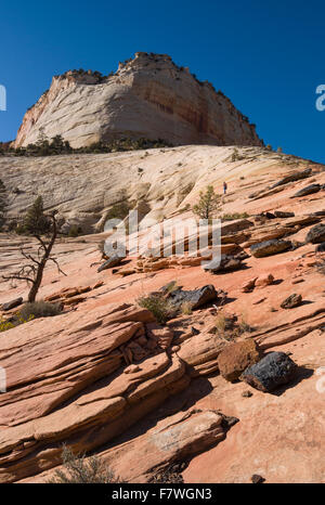 Butte at Zion National Park Stock Photo - Alamy