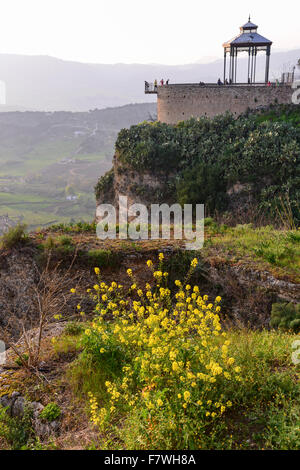 Paseo de E Hemingway, Ronda, Spain Stock Photo - Alamy