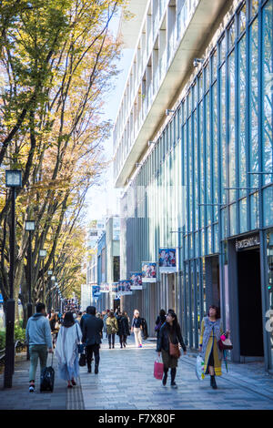 Omotesando and Omotesando Hills, Shibuya-Ku, Tokyo, Japan Stock Photo ...