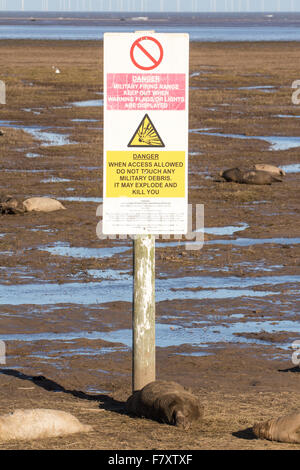 Donna Nook seals Stock Photo - Alamy