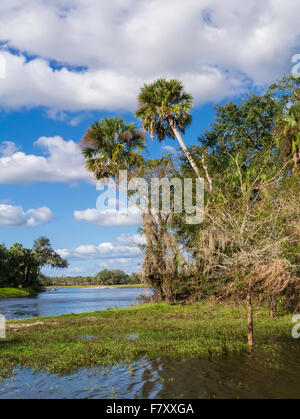 Peace River near Arcadia Florida Stock Photo - Alamy