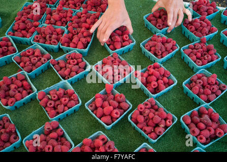 Raspberries for sale Sunday Farmers Market West Seattle Washington ...