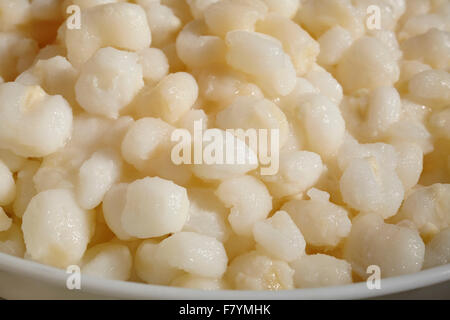 soaked hominy, ready for cooking Stock Photo - Alamy