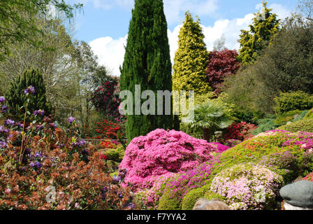 Azaleas in Rock Garden at Leonardslee Gardens Stock Photo - Alamy