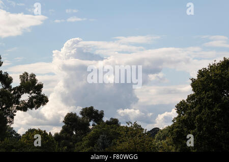 Anvil Cumulonimbus Cloud. These clouds form as the tremendous upward ...