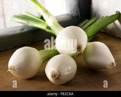 Fresh spring onions Stock Photo - Alamy