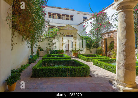 typical Andalusian courtyard decorated with flowers in the city of ...