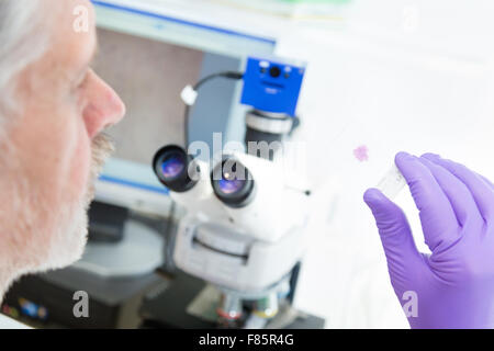 Scientist analyzing microscope slide at laboratory. Young woman ...