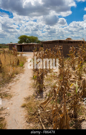 Fields of dry crops in Tanzania Stock Photo - Alamy