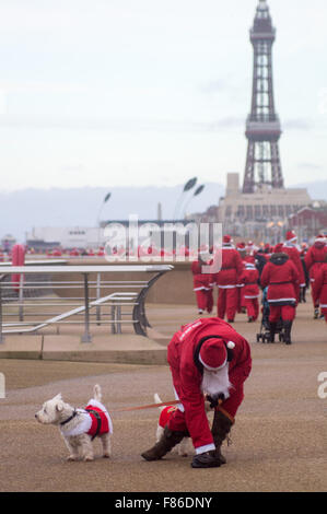 Blackpool, UK. 6th December 2015. Santa's dash event takes place along ...