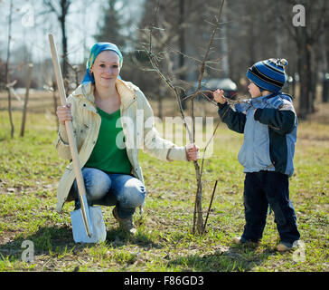 family planting tree with spade outdoor Stock Photo - Alamy