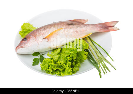 Raw red snapper with salad leaves Stock Photo - Alamy