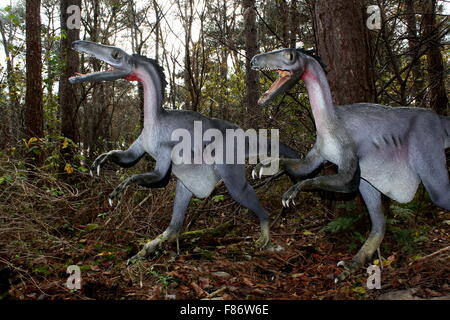 Hunting pack of Troodon dinosaurs, Cretaceous era Lifelike full-size ...
