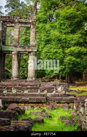 Ruins of Pra Khan Temple in Angkor Thom of Cambodia Stock Photo - Alamy