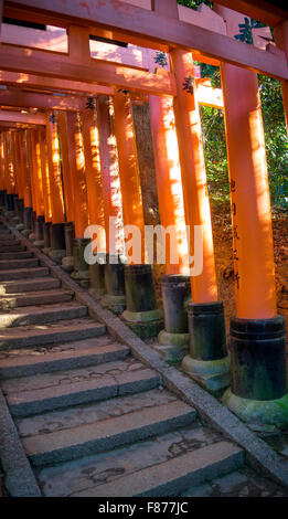 Iconic Senbon torii at Fushimi Inari Taisha, Kyoto ,Japan Stock Photo ...