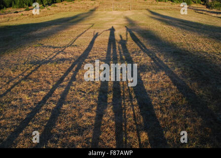 family chain concpet with four shadows in field Stock Photo - Alamy