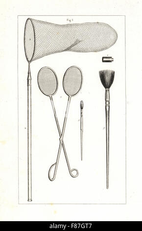 Butterfly collector's tools from the 18th century: pins 3, curved ...