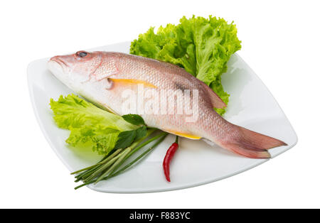 Raw red snapper with salad leaves Stock Photo - Alamy