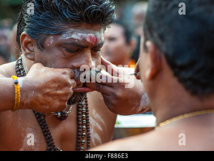 A Devotee Cheek Is Pierced With A Big Skewer By A Priest At Thaipusam ...