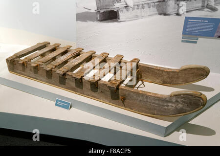 Canadian Inuit (Eskimo) Sled Dog in blizzard conditions Stock Photo - Alamy