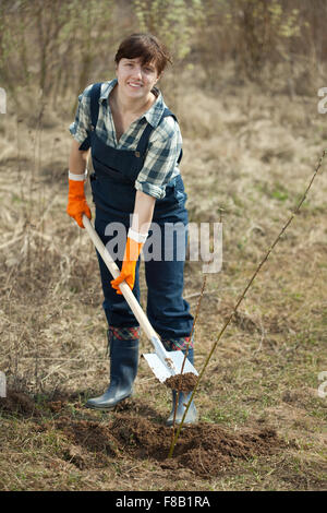 Female farmer planting sprouts shrubbery in ground Stock Photo - Alamy