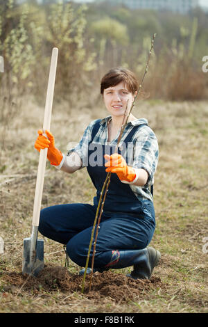 Female farmer planting sprouts shrubbery in ground Stock Photo - Alamy