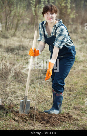 Female farmer planting sprouts shrubbery in ground Stock Photo - Alamy
