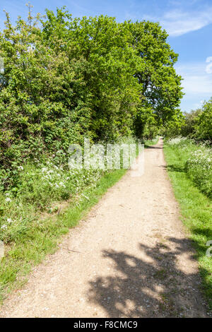 A straight path through the Park Stock Photo - Alamy