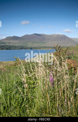 Lough Currane, Waterville; County Kerry; Ireland Stock Photo - Alamy