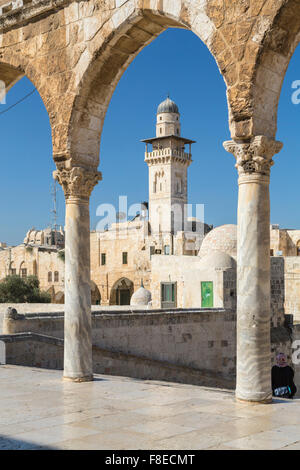 A variety of structures and cupolas on the Temple Mount of Jerusalem ...