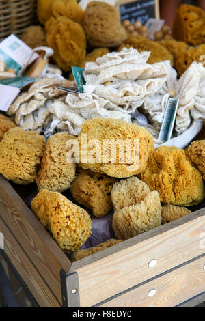 sponge, natural sponge, sponges, natural sponges Stock Photo - Alamy