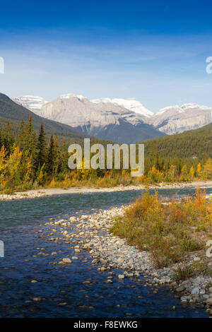 Snaring River, Jasper National Park, Alberta, Canada Stock Photo - Alamy